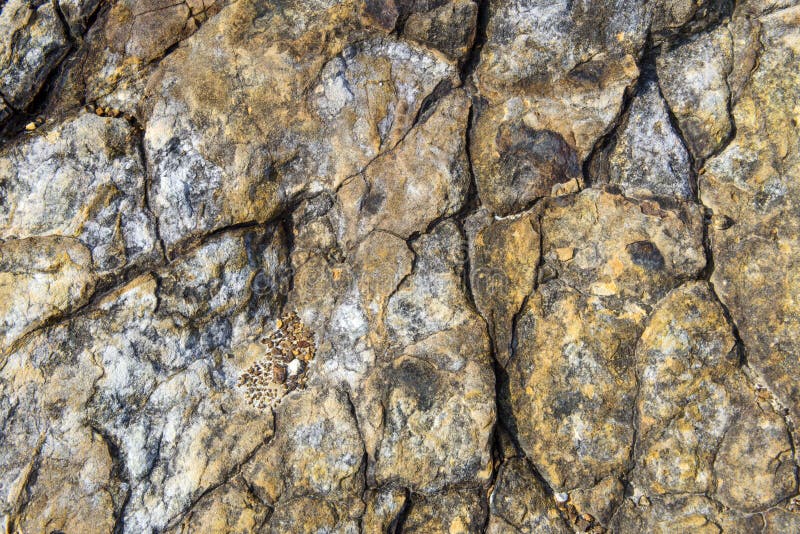 Stone Mountain Texture Background. Stock Photo - Image of hard, coarse ...