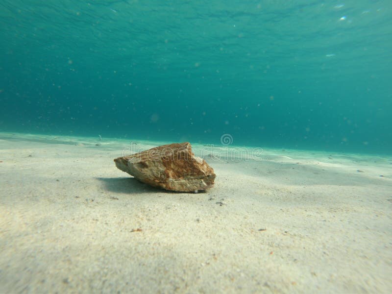 Sand Underwater Stock Photos - Download 31,258 Royalty Free Photos