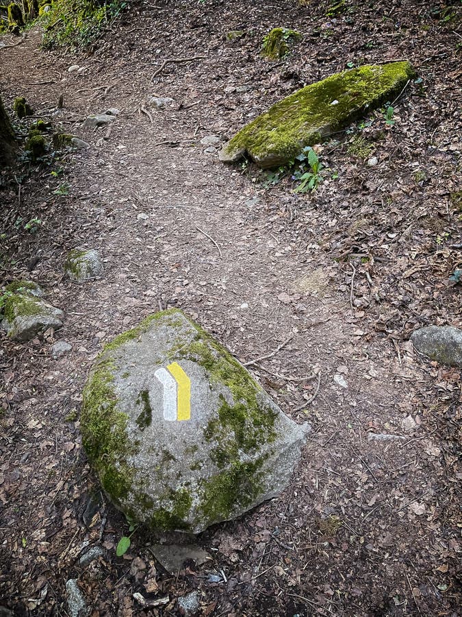A Stone Painted with White and Yellow Stripes Representing the Right ...