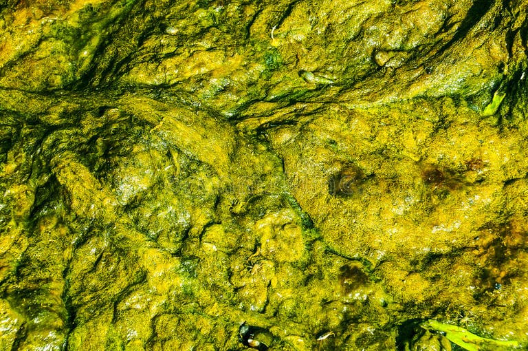 Rain Tamilnadu Ai Image Stock Photos - Free & Royalty-Free Stock Photos ...