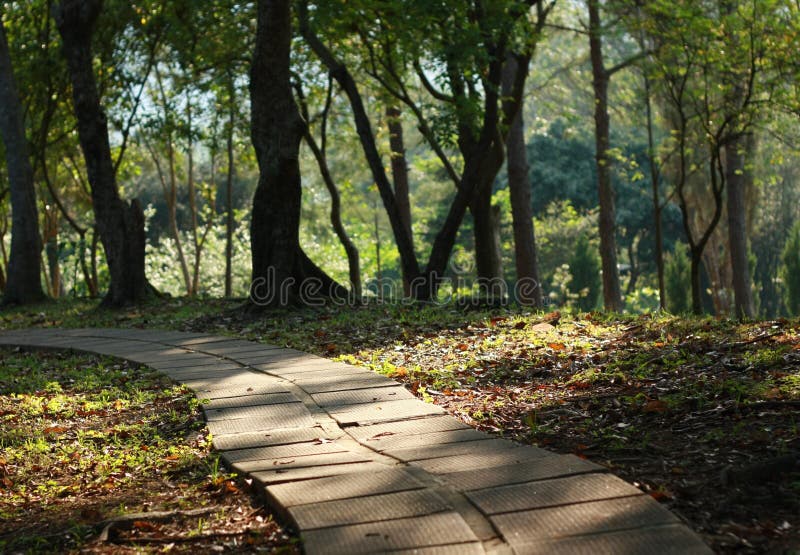 Stone Path stock image. Image of park, ground, line, asia - 10239239