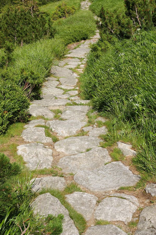 Stone path stock photo. Image of park, footpath, live - 10699786