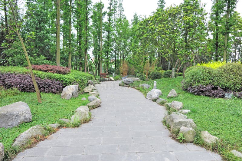 Stone path with trees stock image. Image of horticulture - 32738523