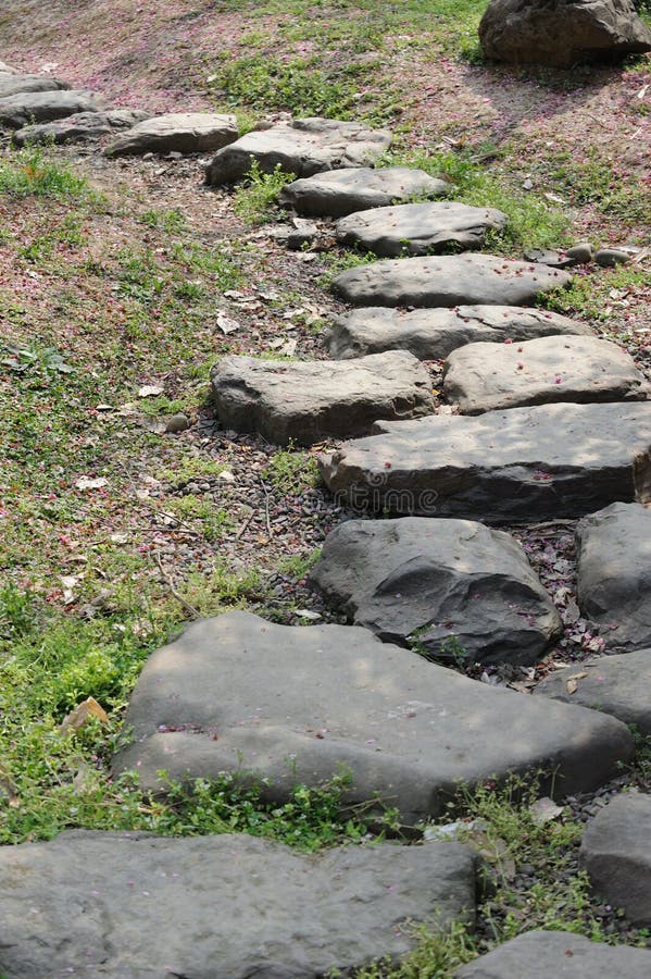 Stone path stock photo. Image of blossom, clear, china - 23894890