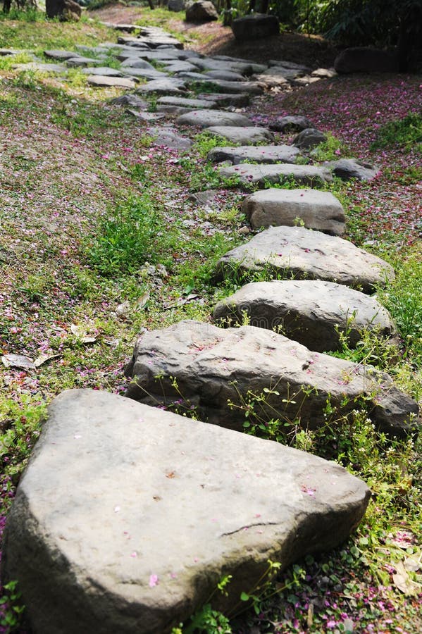 Stone path stock image. Image of beautiful, clarity, foot - 24254867