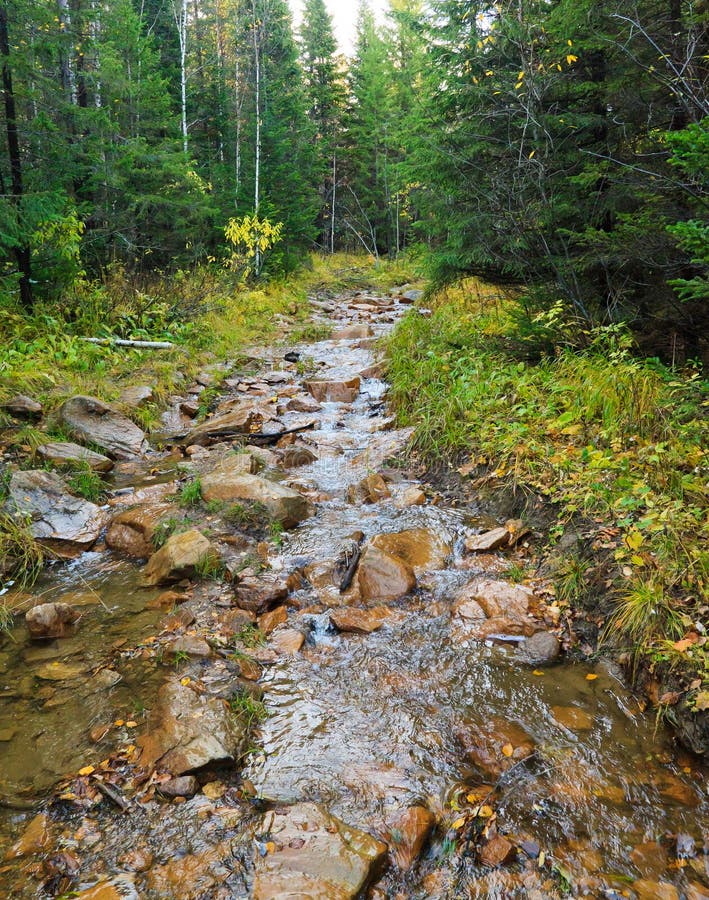 A Stone Path Along the River Stock Photo - Image of leaf, road: 25547034