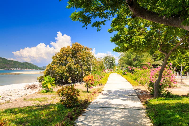 Stone Path Along Sea Beach among Bushes Plants Stock Image - Image of ...