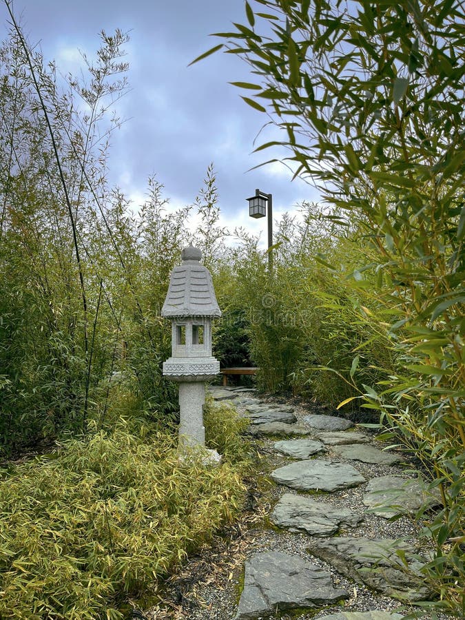 Stone Path in a Bamboo Forest Stock Photo - Image of plant, walk: 313392976
