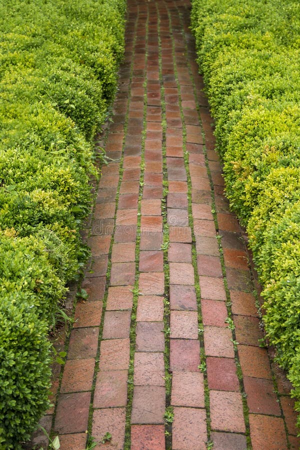 Stone Path with Bushes Leading Up To a Mansion Stock Image - Image of ...