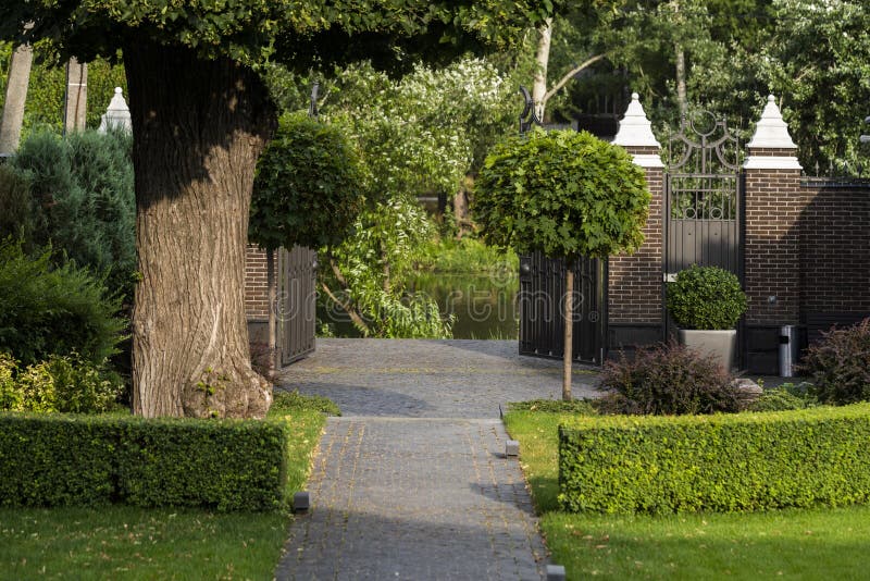 Stone Path among Bushes with Trees Stock Image - Image of nature ...