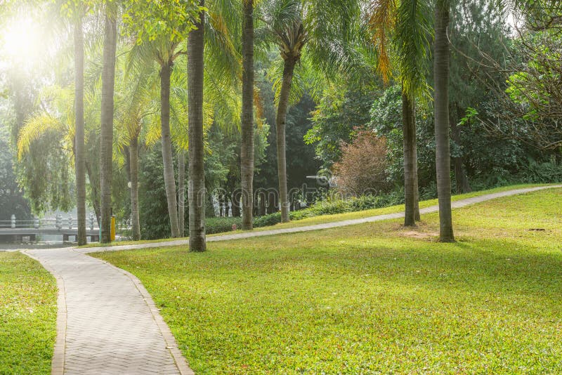 Stone Path in the City Park. Stock Photo - Image of path, leaf: 118794226
