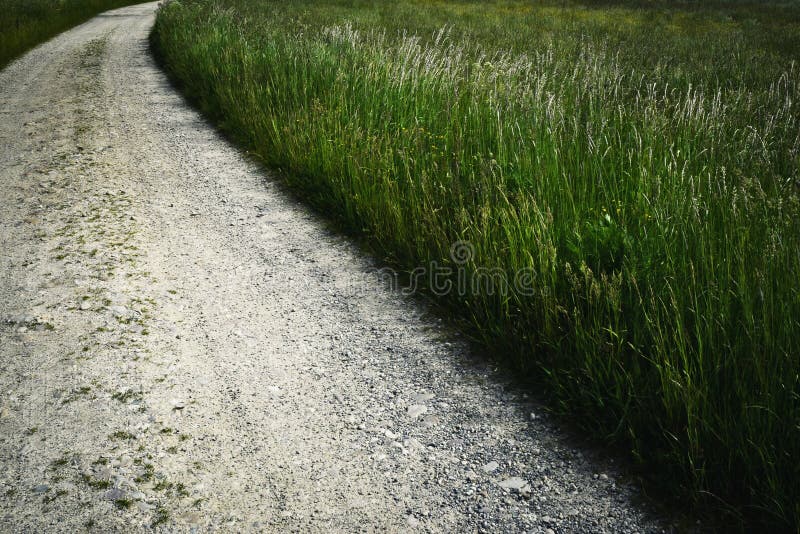 A Stone Path on the Edge of the Meadow Stock Photo - Image of mountain ...
