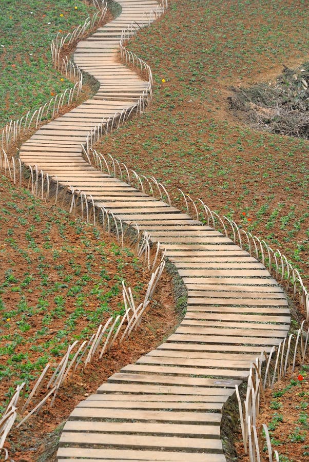Stone path stock image. Image of leaves, footpath, ecology - 29916569