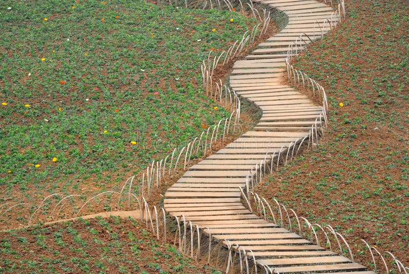 Choke Stone stock image. Image of relaxation, gravel, beach - 8713669