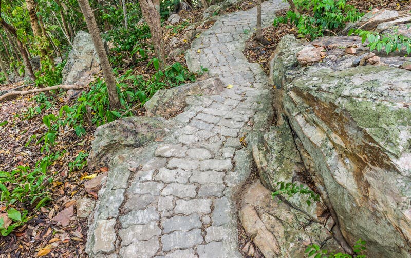 Stone Path between the Trees in the Mountains Stock Photo - Image of ...