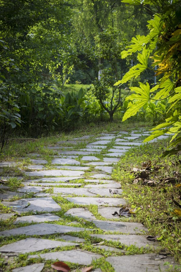Stone path on river stock image. Image of footpath, walk - 93472083