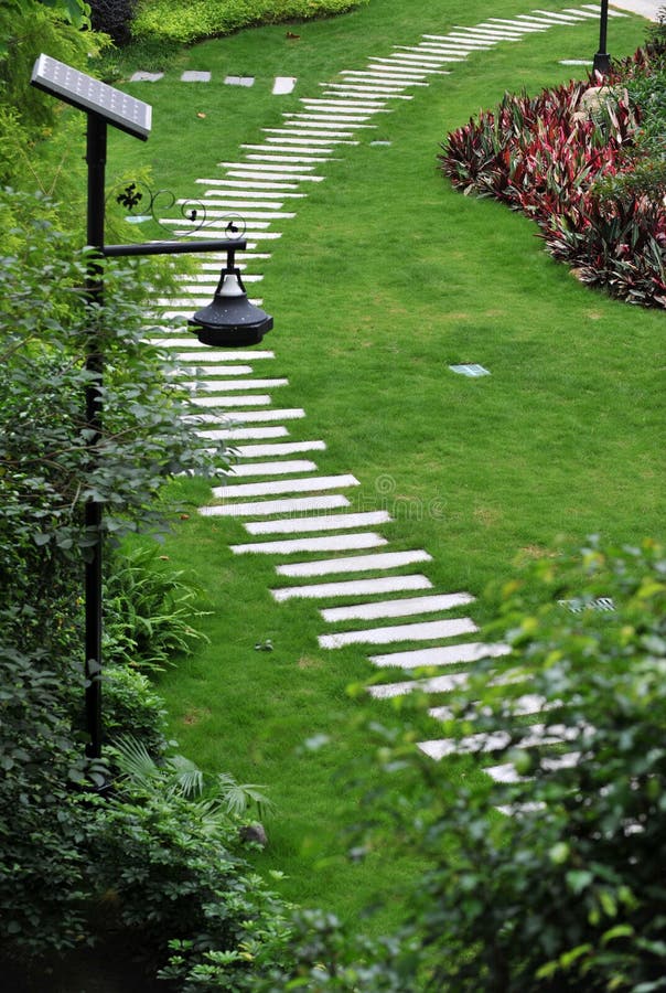 Top view of garden stock image. Image of path, pathway - 22635479