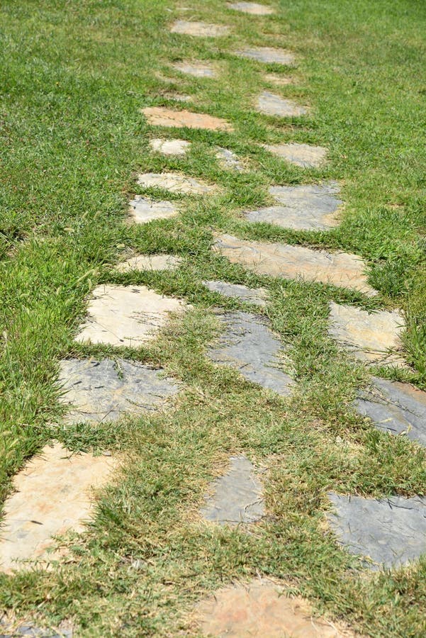 Path way on grass stock image. Image of alley, landscape - 20627667