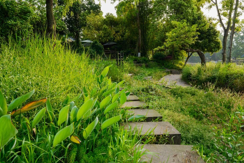 Stone Path in Grass of Sunny Summer Afternoon Stock Photo - Image of ...