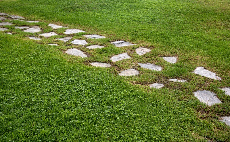 Stone Path on the Grassy Meadow Stock Photo - Image of scenery, natural ...
