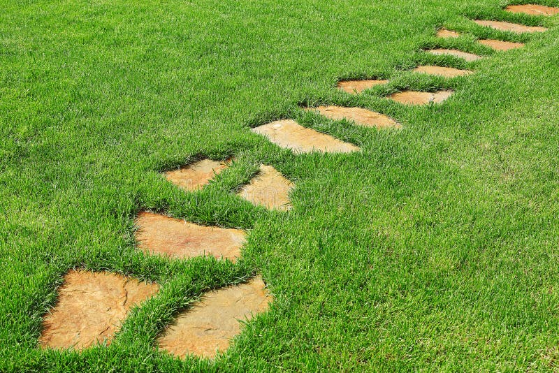 Stone Path on the Green Grass Stock Photo - Image of decoration ...