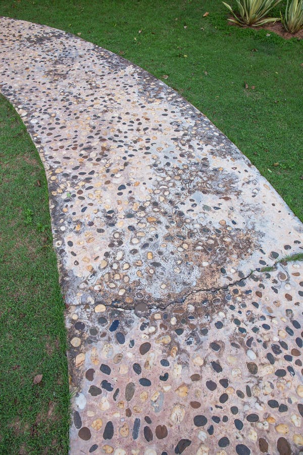 Stone path in green grass stock image. Image of concept - 59801299
