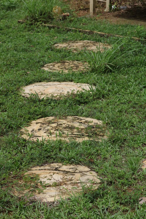 Stone Path with Green Grass Stock Photo - Image of wall, walkway: 259011000