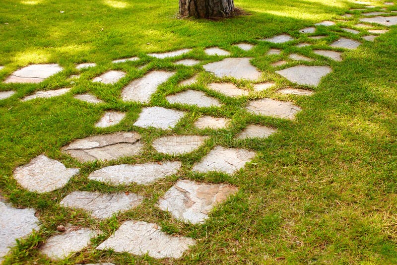 Stone Path on a Green Grassy Lawn. the Way Paved Single Stones among a ...