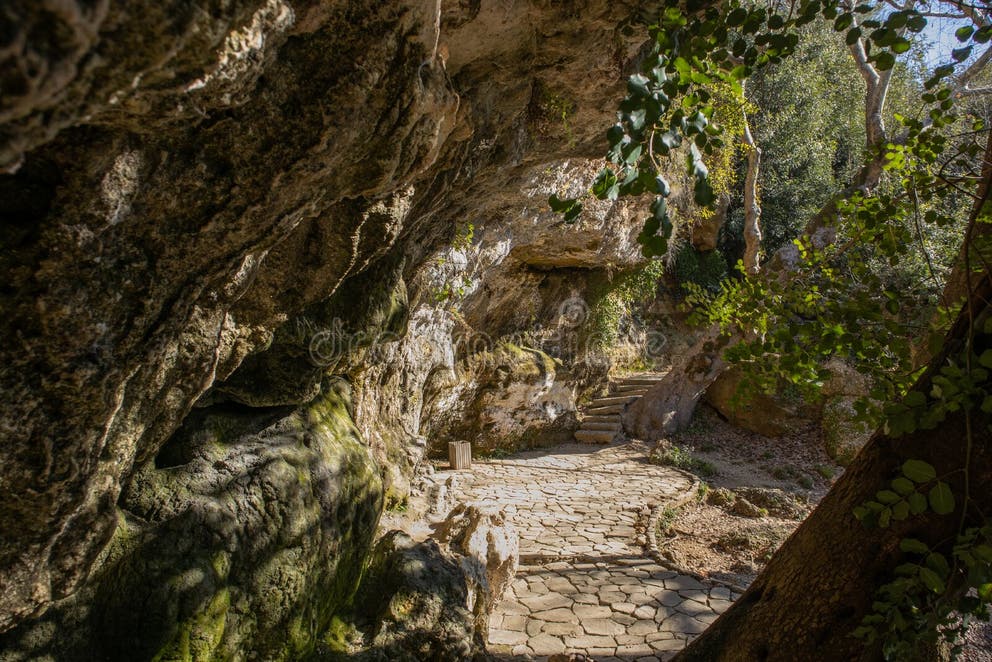 A Stone Path Leading To the Stairs Passing through the Massive Roots of ...