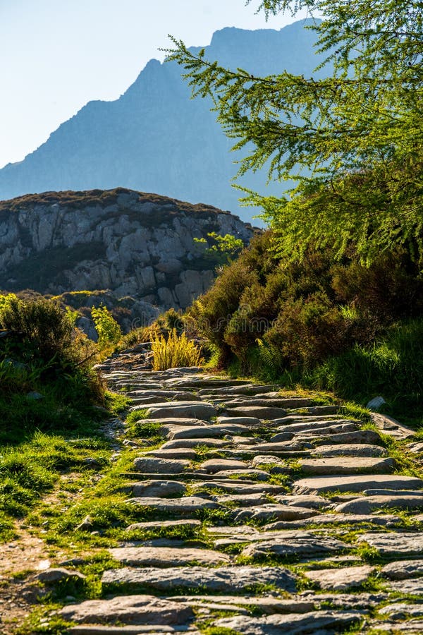 Stone Path through Lush Welsh Countryside with Mountain Backdrop Stock ...