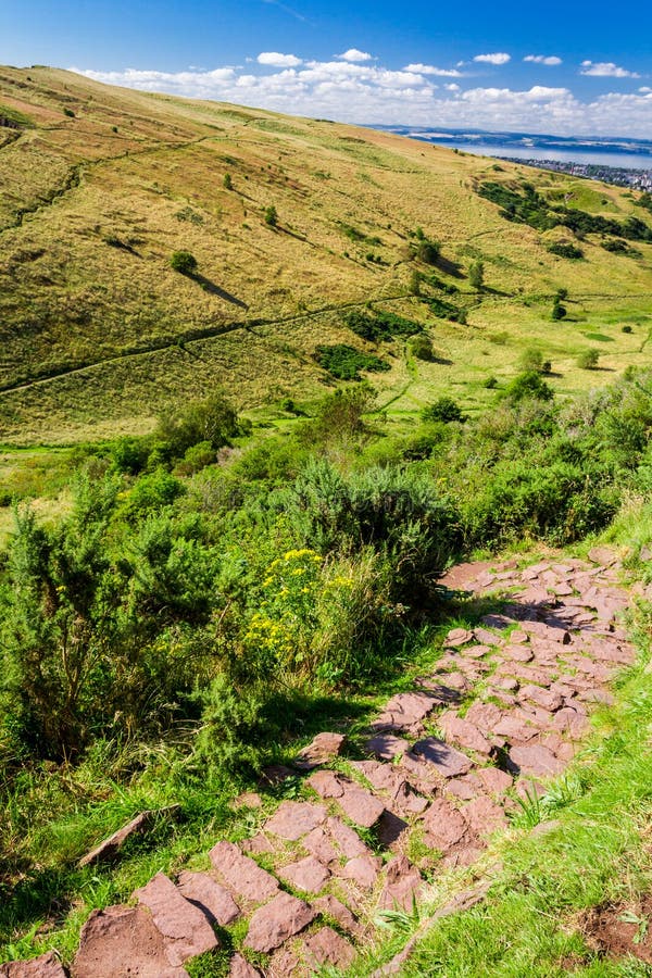 Stone Path between the Trees in the Mountains Stock Photo - Image of ...