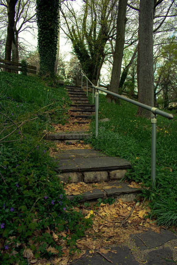 A Stone Path in an Overgrown Park Full of Greenery Stock Image - Image ...