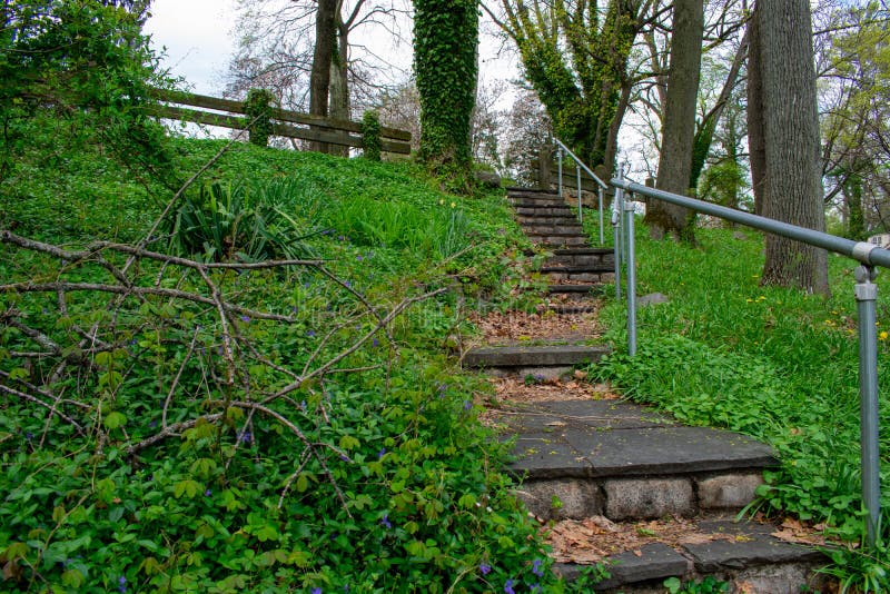 A Stone Path in an Overgrown Park Full of Greenery Stock Image - Image ...