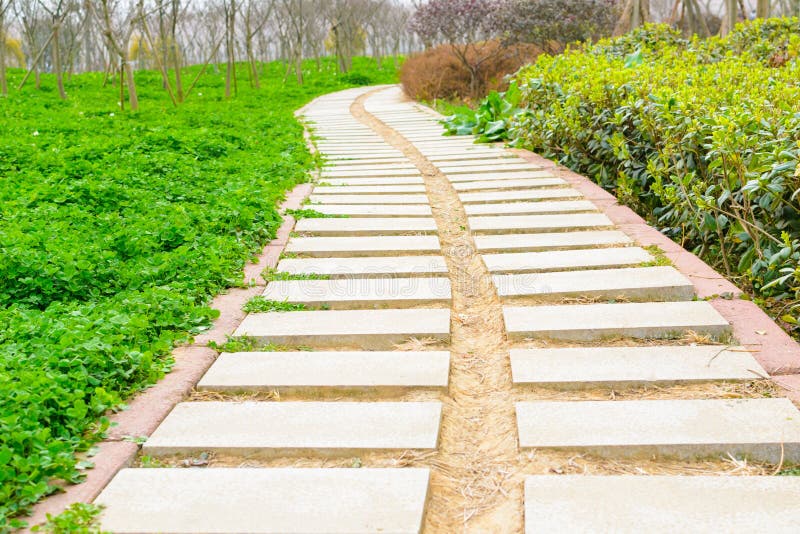 Stone path stock image. Image of landscape, yard, walk - 30566981