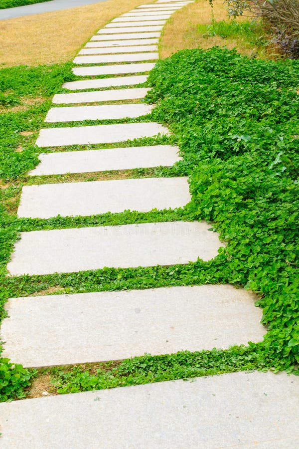 Stone path stock image. Image of line, interest, sunshine - 20037635