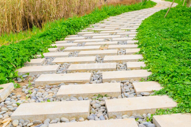 Stone path stock image. Image of rock, pathway, line - 20098107
