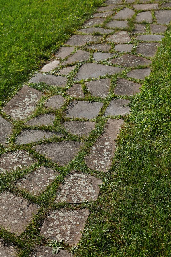 Stone path in the park stock photo. Image of landscape - 269364274