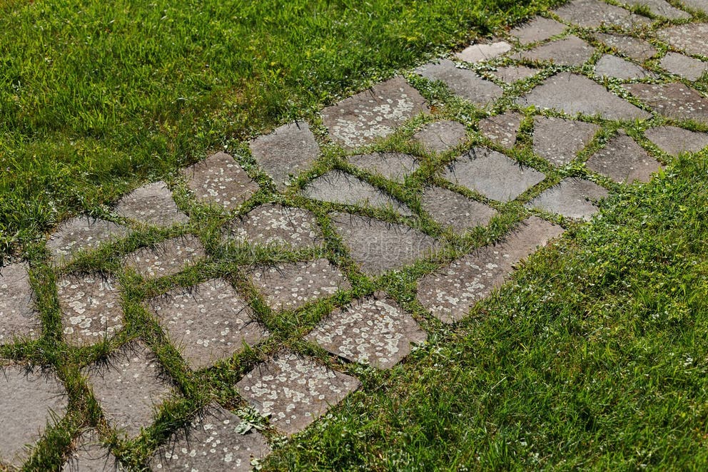 Stone path in the park stock photo. Image of cobblestone - 269364278
