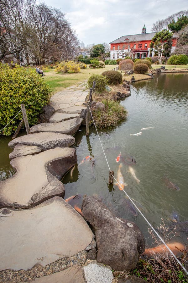Stone Path and Pond with Carps KOI at Tokyo Park Stock Image - Image of ...