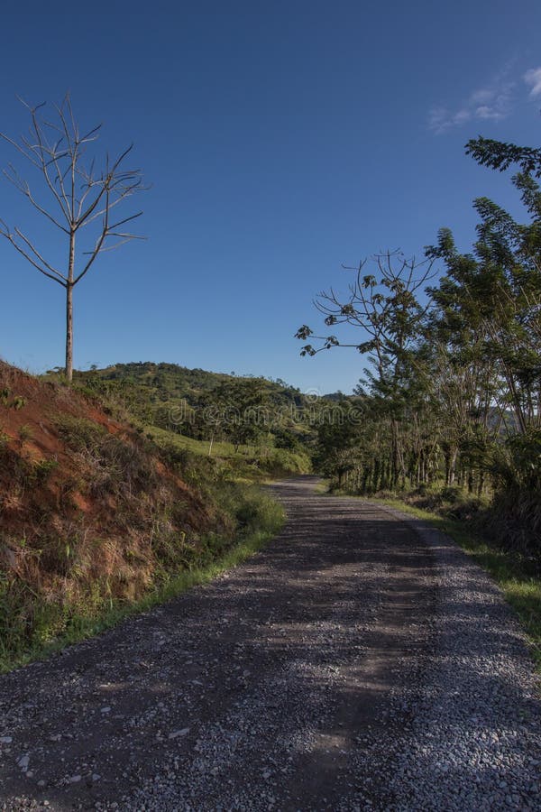 Stone Path and Rural Landscape in a Morning Stock Photo - Image of blue ...