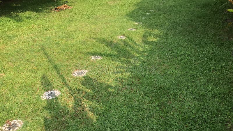 Stone Path with Shadows on Green Grass Stock Photo - Image of exterior ...