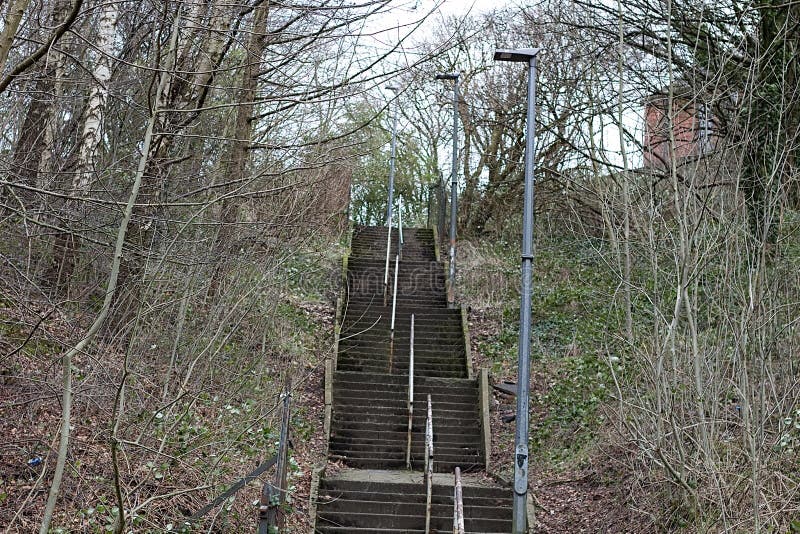 Old steps in forest stock photo. Image of sunshine, leafage - 22130764