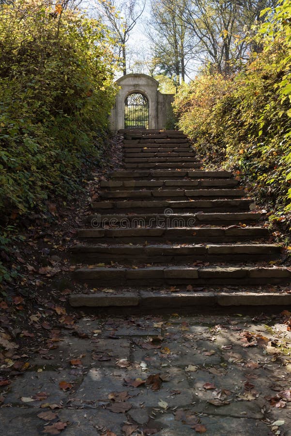 Stone Path stock photo. Image of bushes, hiking, woods - 63617986