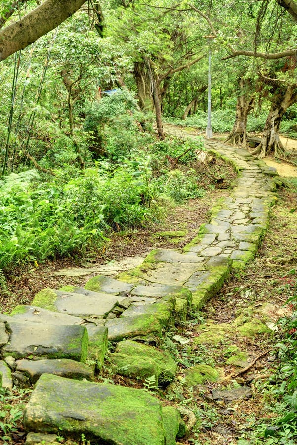 Stone path stock photo. Image of stone, peaceful, plant - 105033852
