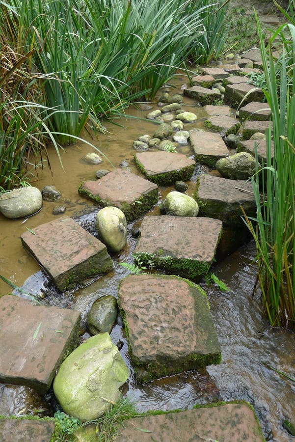 Stone path stock image. Image of landscape, grass, clarity - 34158827