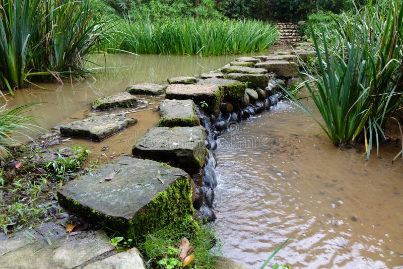 Stone path stock image. Image of foot, green, grassland - 45210277