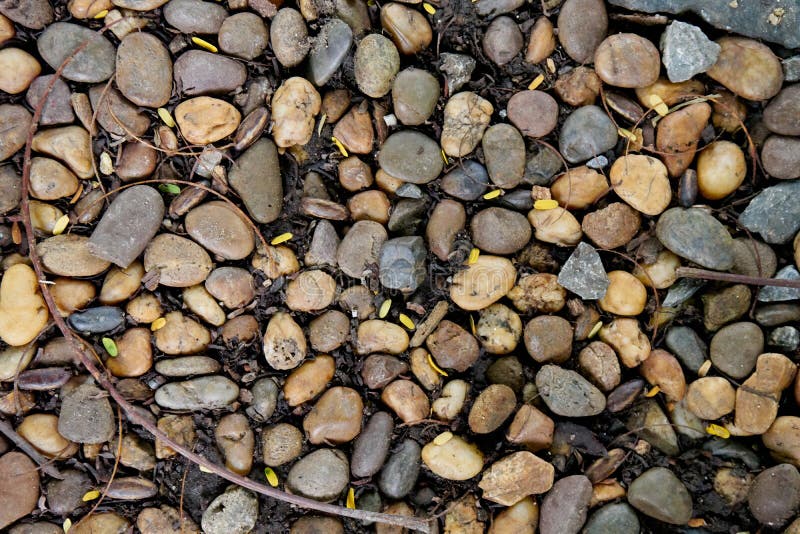Stone Path Texture in Garden Stock Photo - Image of pavement, outdoor ...