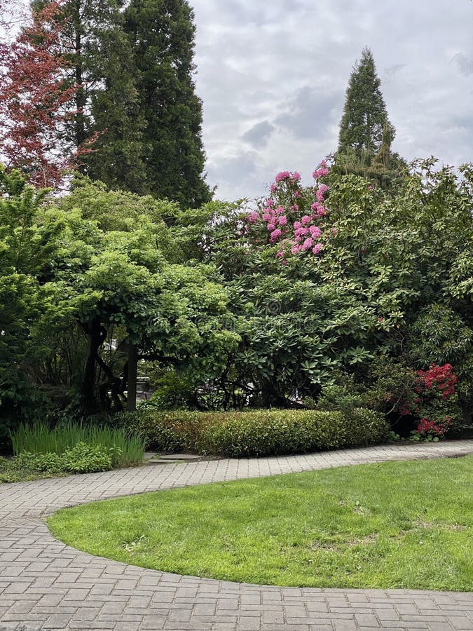 A stone Path stock photo. Image of path, stone, trees - 218191056