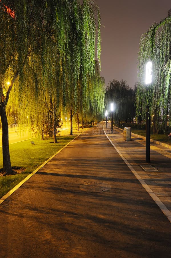 Stone Path with Trees at Night Stock Photo - Image of horticulture ...