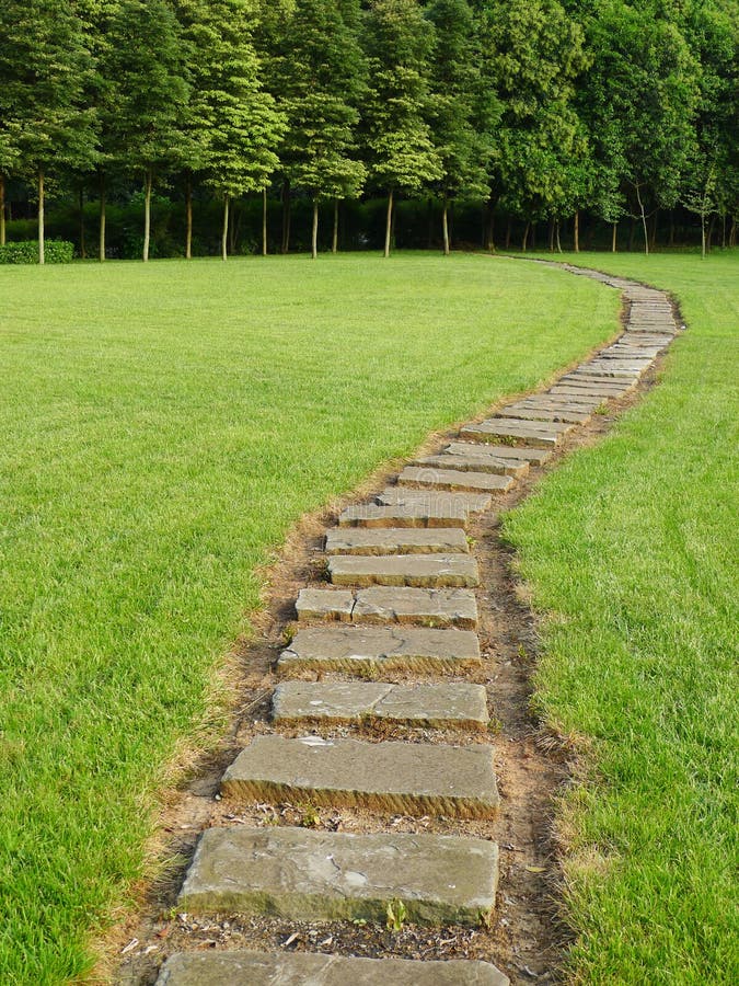 Path Through Trees, Marie Selby Botanical Gardens, Sarasota, Florida ...